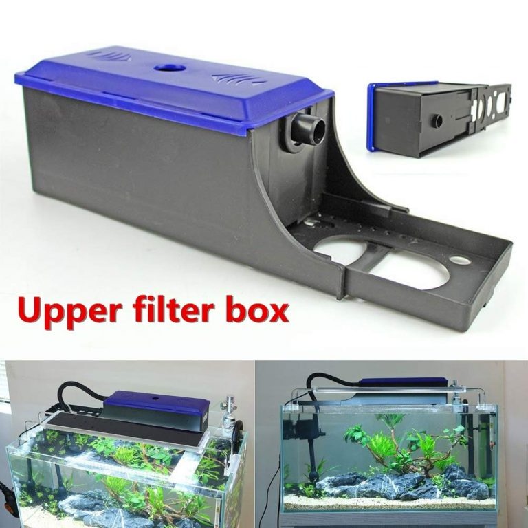 Fish Tank Filter - overview of types
